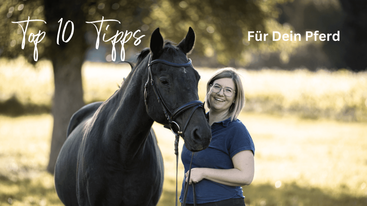 Start - Simona Winter